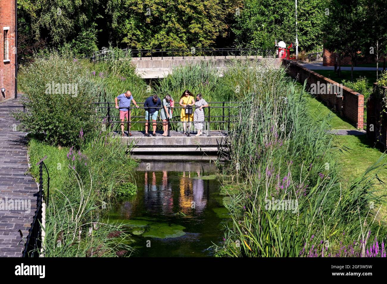 Bombay sapphire distillery hi-res stock photography and images - Alamy