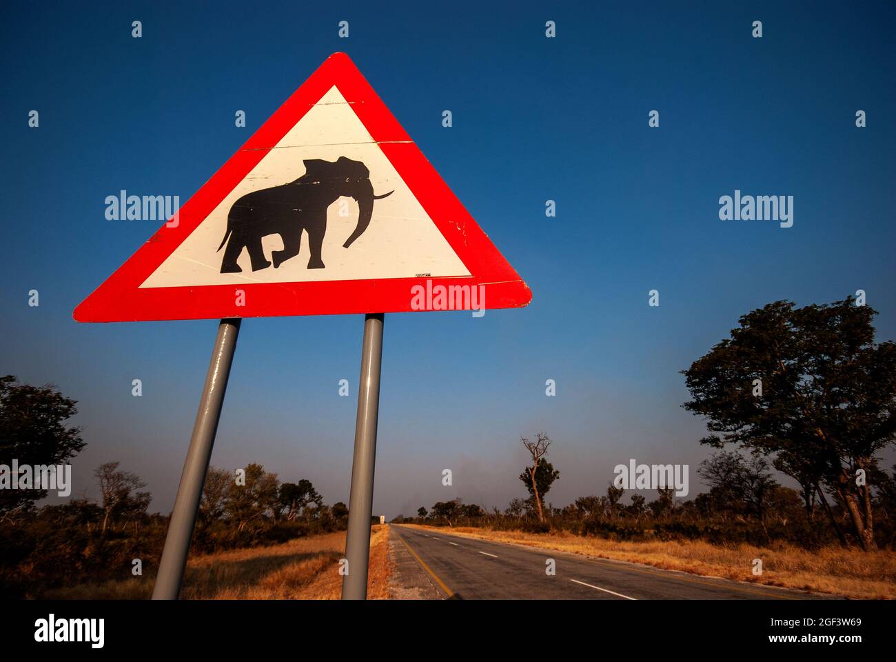 Drive with caution, sign alerting drivers to be careful about wild ...