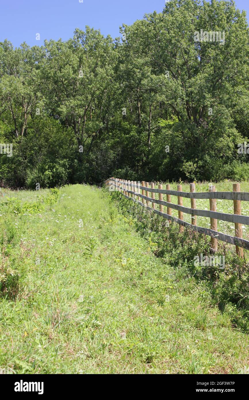 Traditional wooden boundary fence crossing a farm field on a bright ...