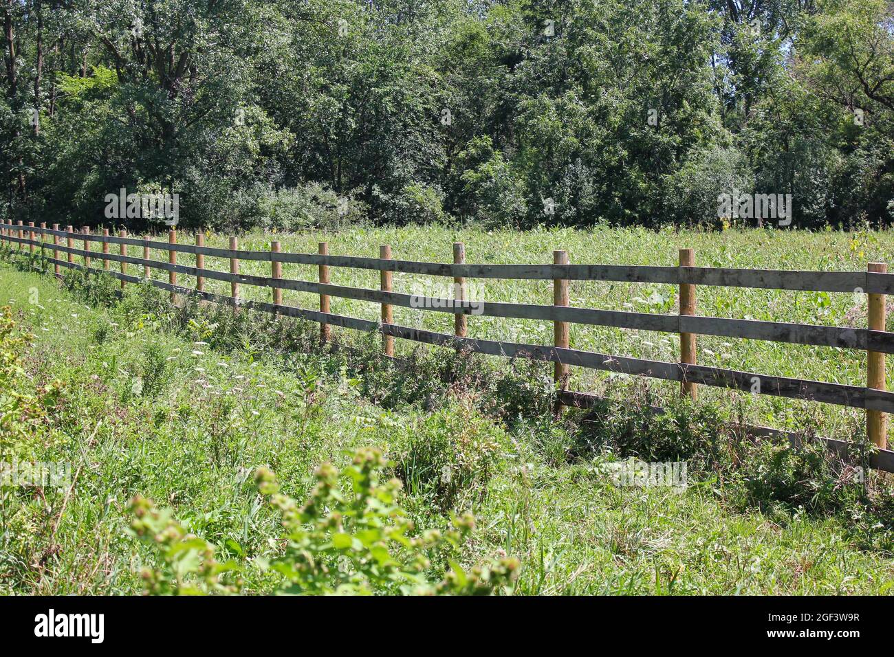 Traditional wooden boundary fence crossing a farm field on a bright ...