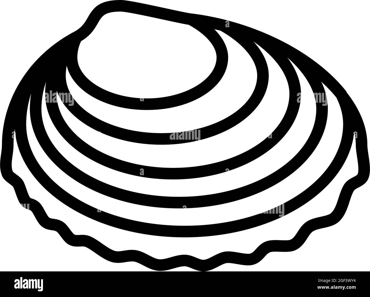 Common cockle illustration hi-res stock photography and images - Alamy