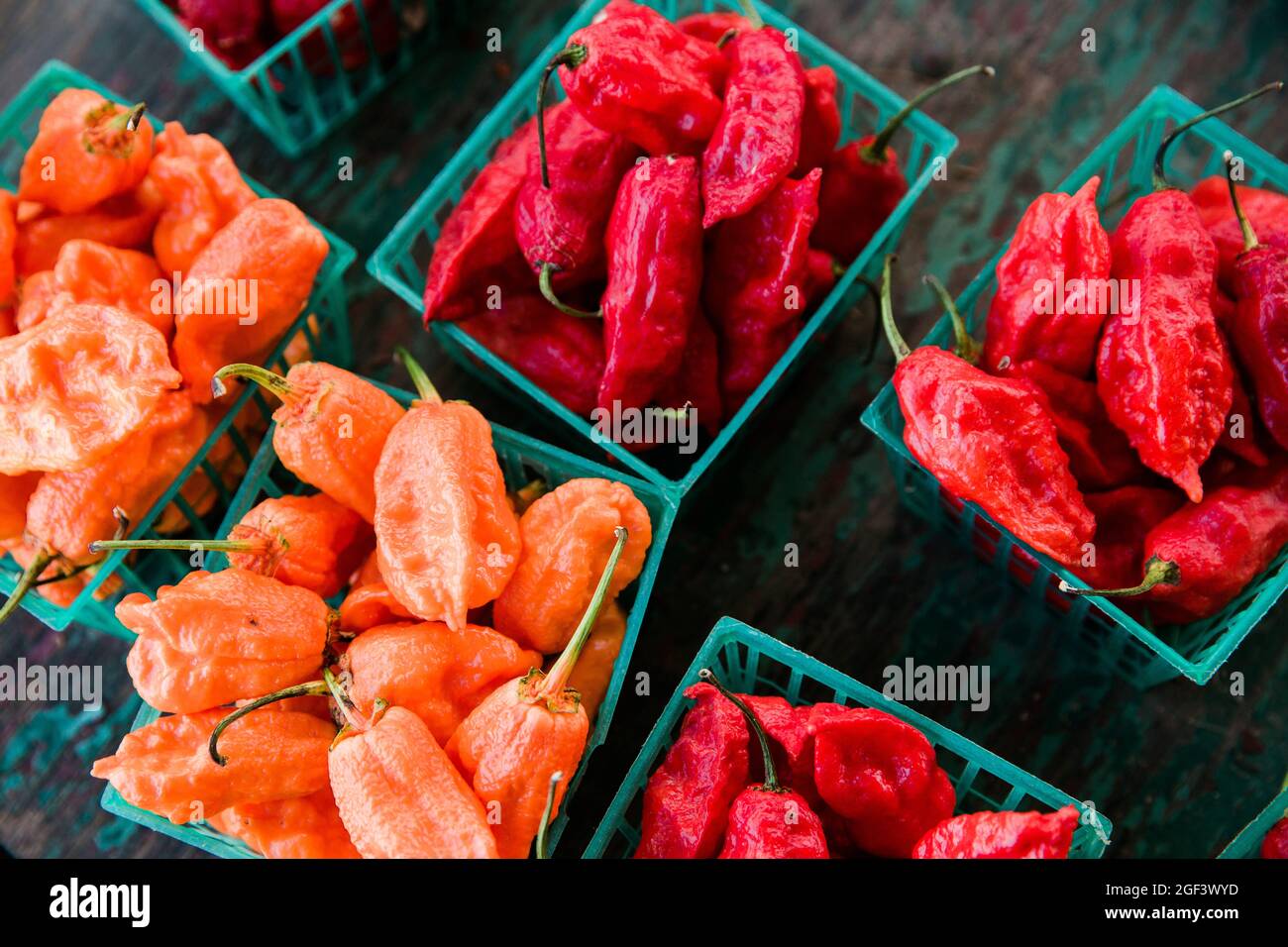 Baskets of hot dried peppers at a local farmer's market and produce ...