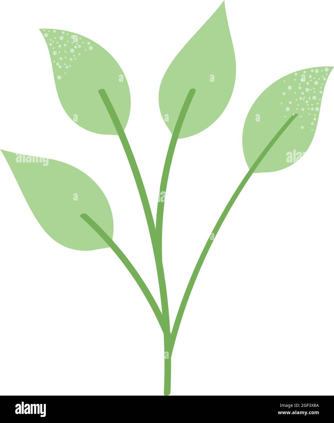 stem with leaves on white background Stock Vector Image & Art - Alamy