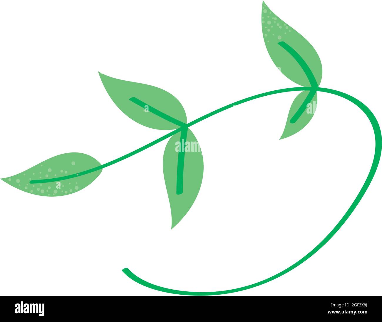 green stem with leaves design Stock Vector Image & Art - Alamy