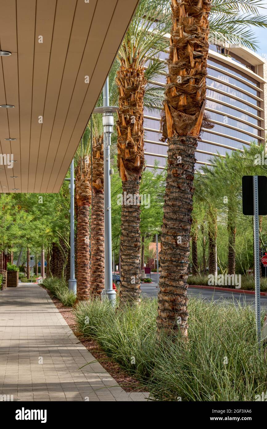 Downtown tree lined street hi-res stock photography and images - Alamy