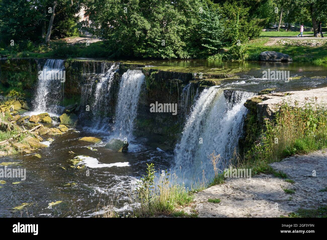 An idyllic river landscape in the forest with a waterfall Stock Photo ...