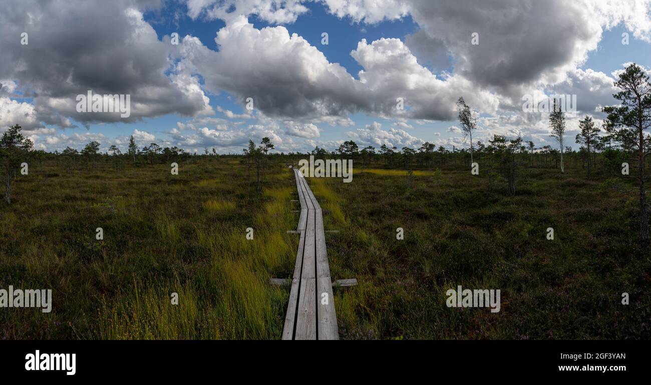 A wooden boardwalk leading through a raised bog and marsh landscape ...