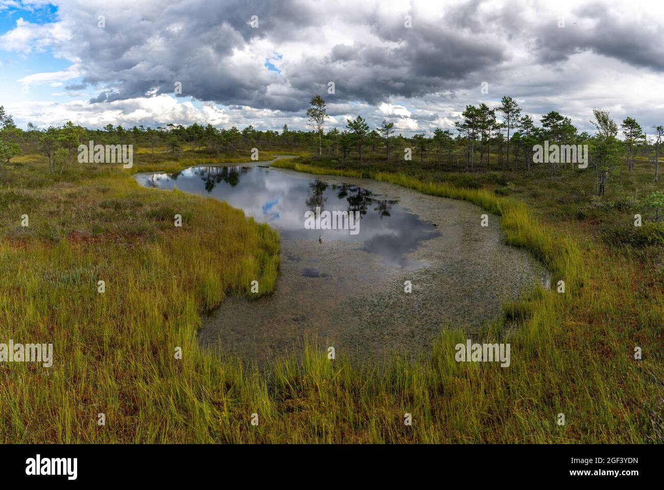 A raised bog and marsh landscape under an expressive sky Stock Photo ...