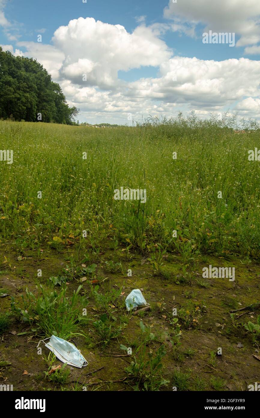 Environmental distress in the form of carelessly discarded Covid-19 ...