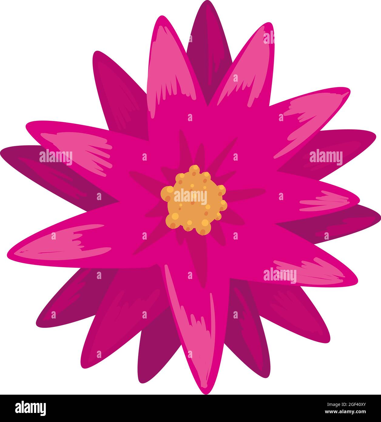 view aerial of lotus flower isolated icon Stock Vector Image & Art - Alamy