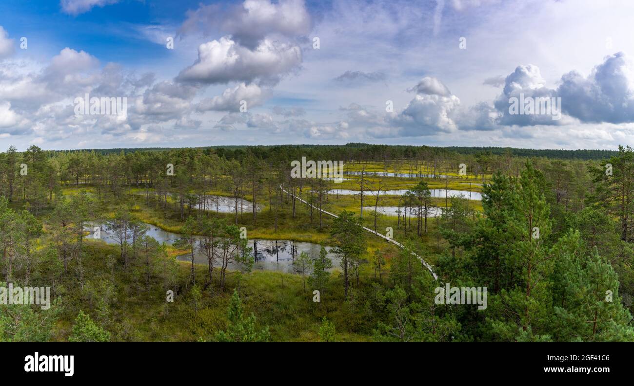 A wooden boardwalk nature trail leading through a peat bog landscape ...