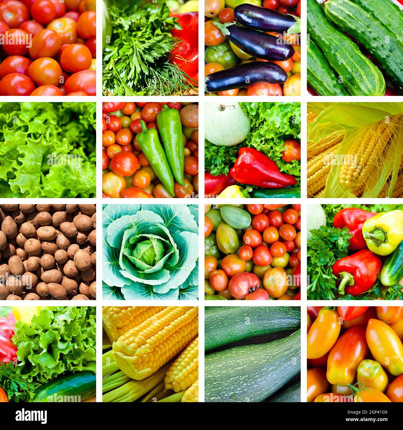 Collection of vegetable hi-res stock photography and images - Alamy