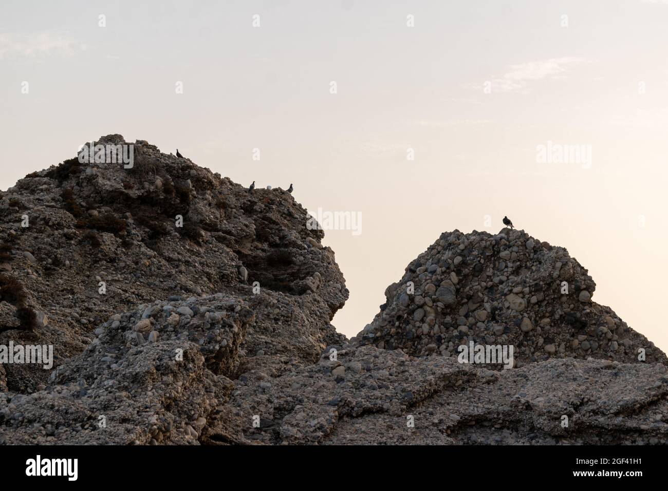 Flock of birds perched on rocky cliffs under the sunlight Stock Photo ...