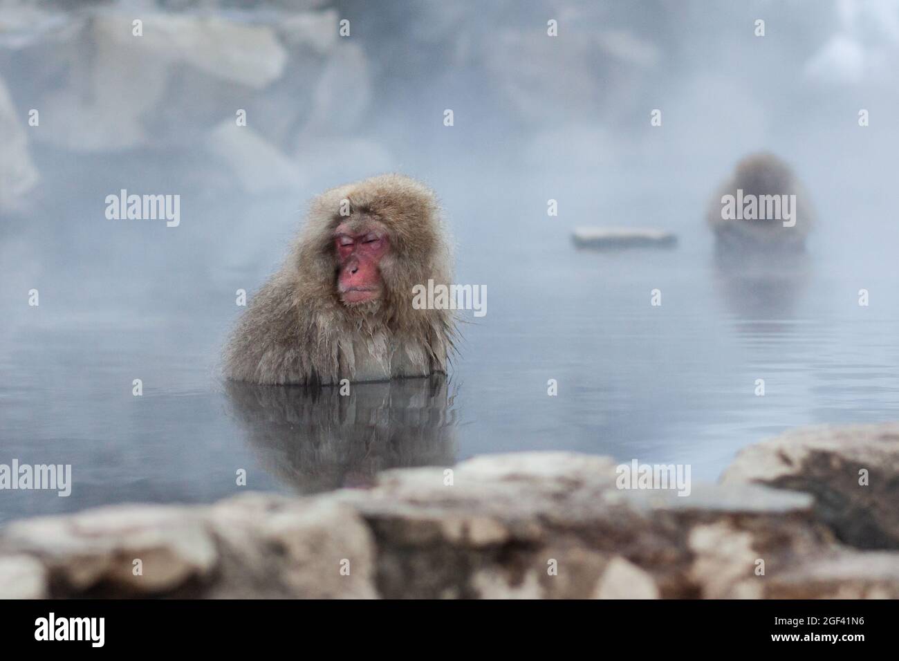 Bathing in cold water hi-res stock photography and images - Alamy