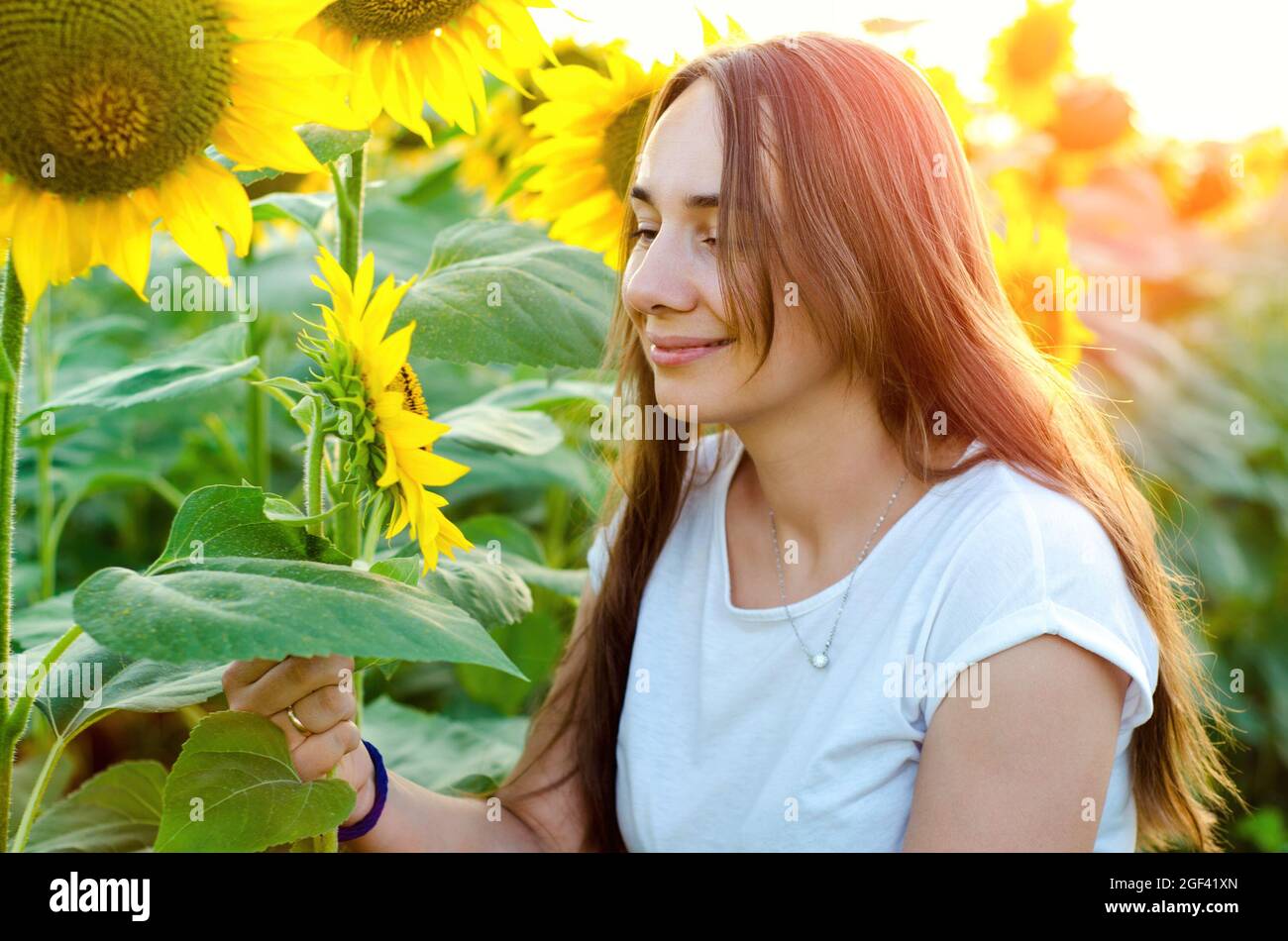 Sunflower joy hi-res stock photography and images - Alamy