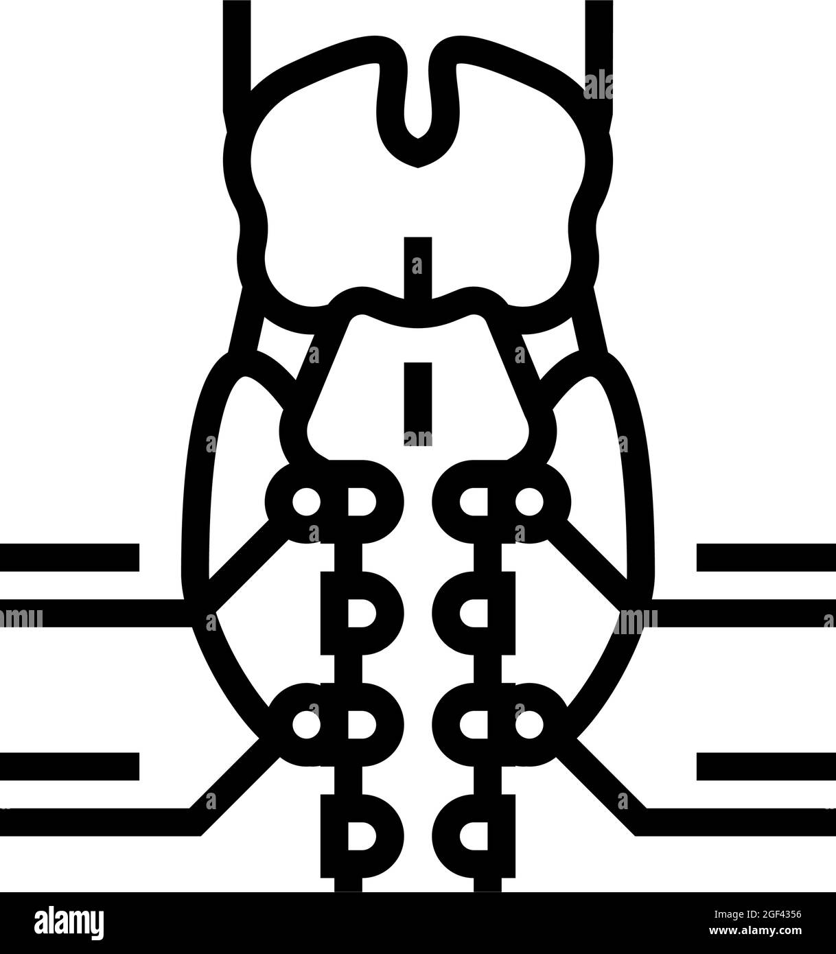 parathyroid gland endocrinology line icon vector illustration Stock ...