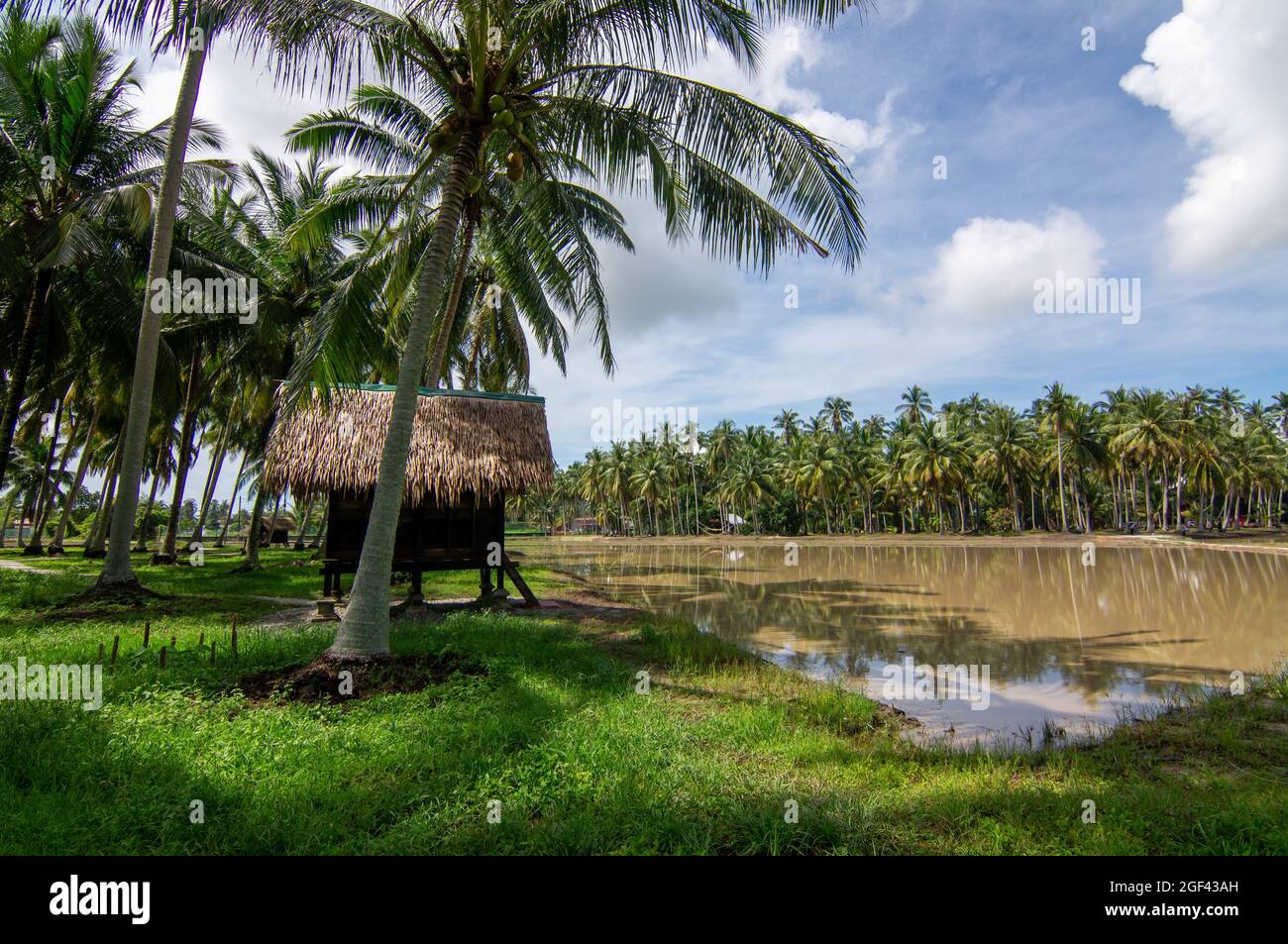 Coconut wood house hi-res stock photography and images - Alamy