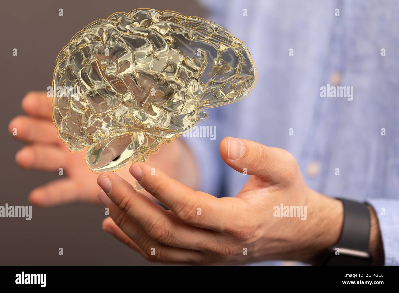 3D floating human brain between hands - AI concept Stock Photo - Alamy