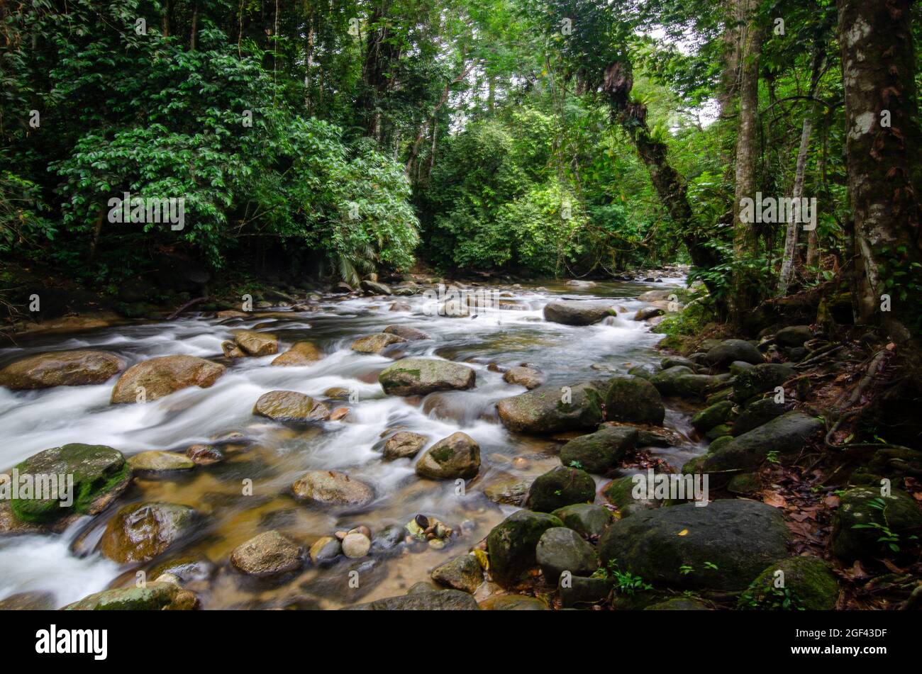 Rapid water flow hi-res stock photography and images - Alamy