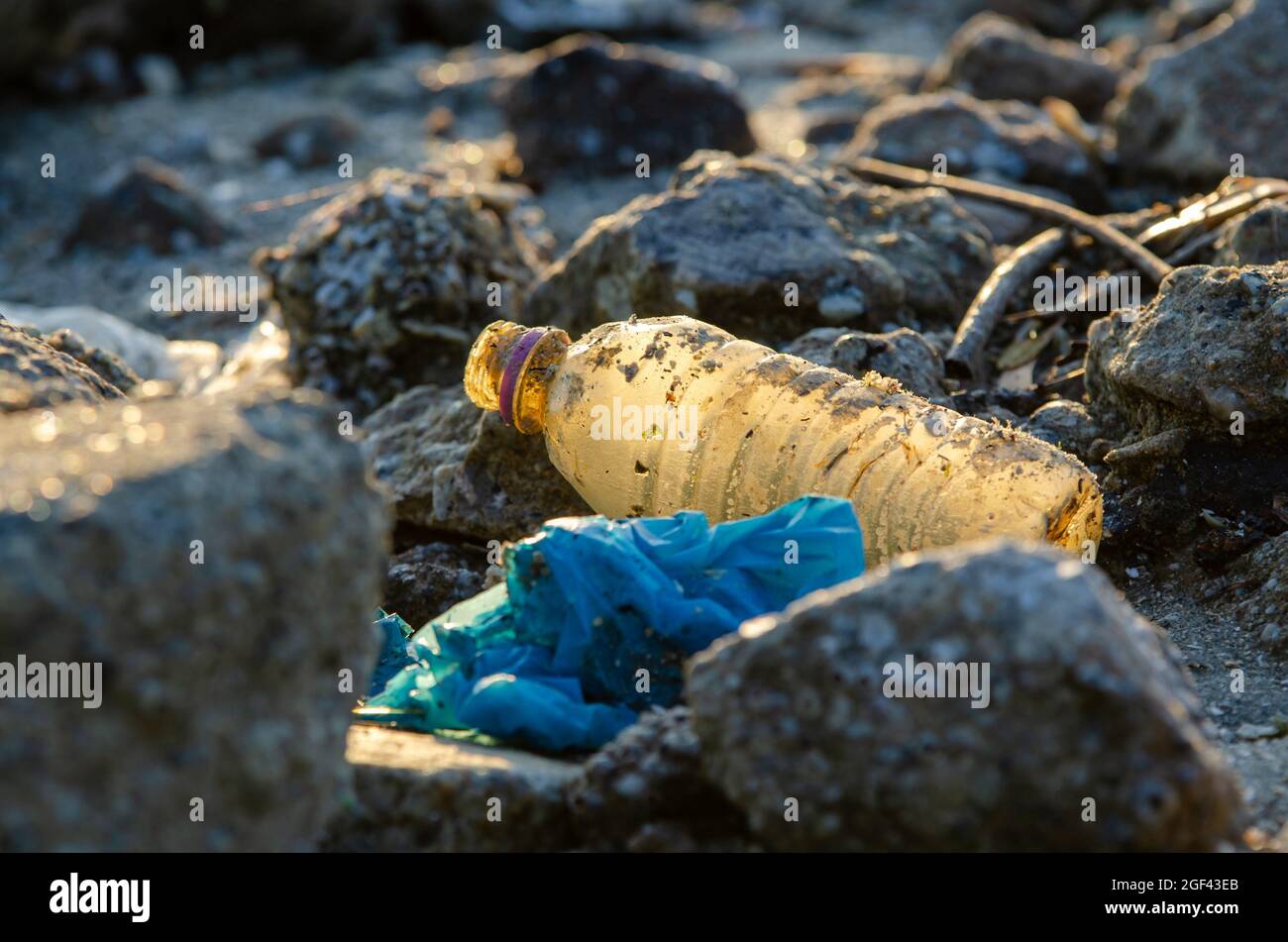 Plastic bottle at rock. Plastic contamination. Environmental pollution ...