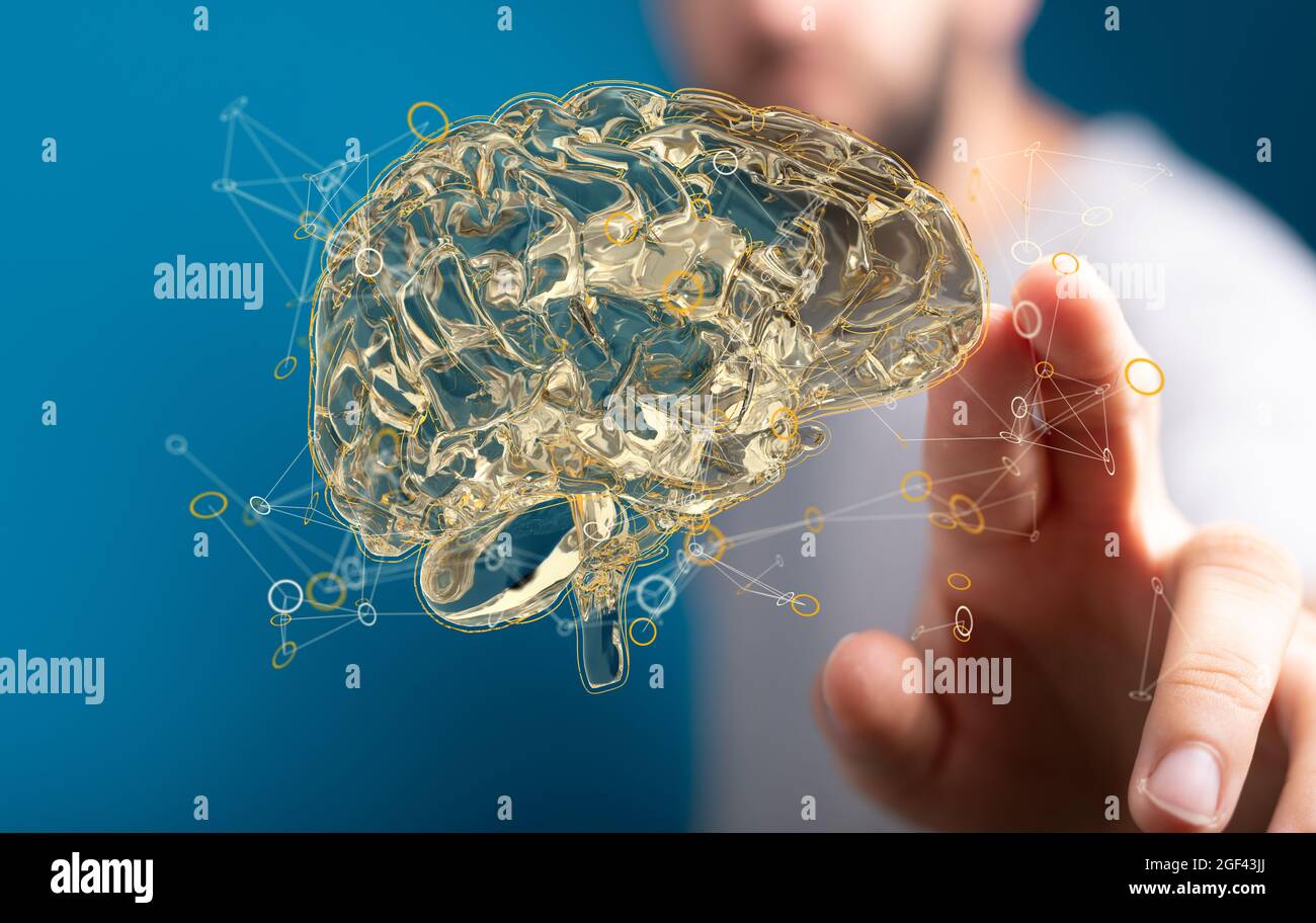 Hand touching a 3D floating human brain - AI concept Stock Photo - Alamy