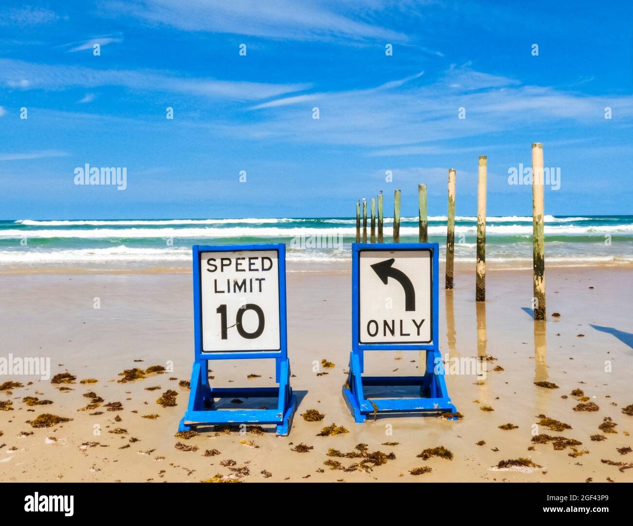 Sunlight on seaweed hi-res stock photography and images - Alamy