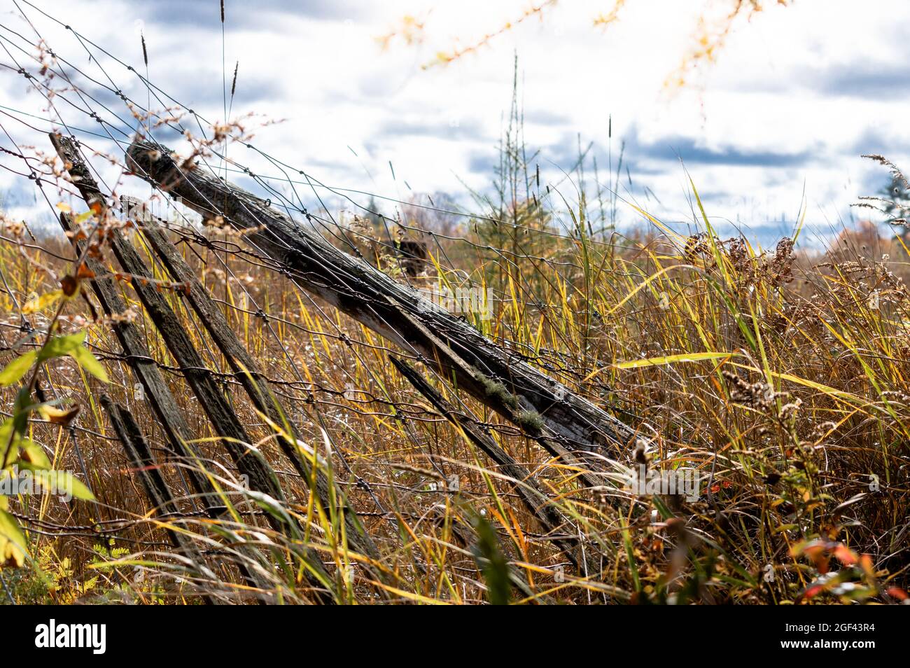 Pasture with broken fence hi-res stock photography and images - Alamy