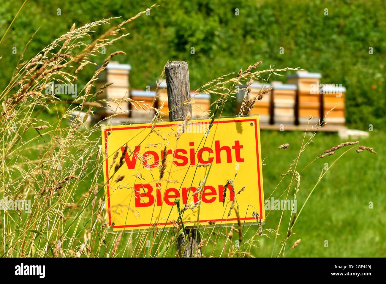 Bee warning hi-res stock photography and images - Alamy