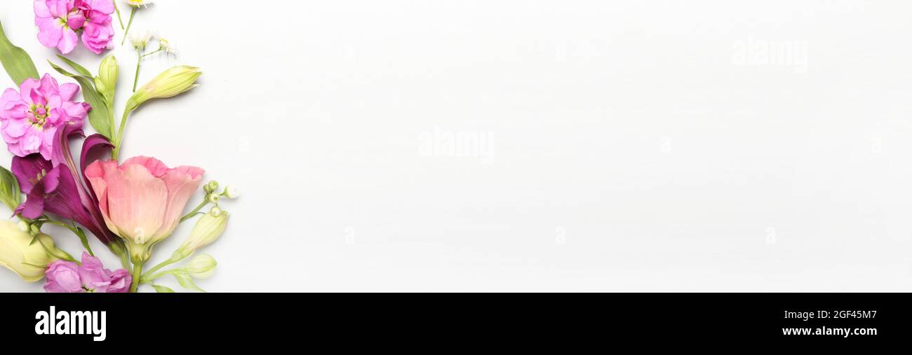 Beautiful flower composition on white background with space for text ...