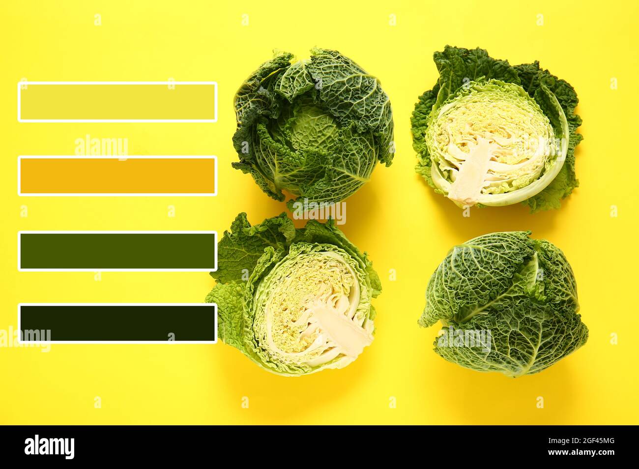 Fresh savoy cabbage on yellow background. Different color patterns ...