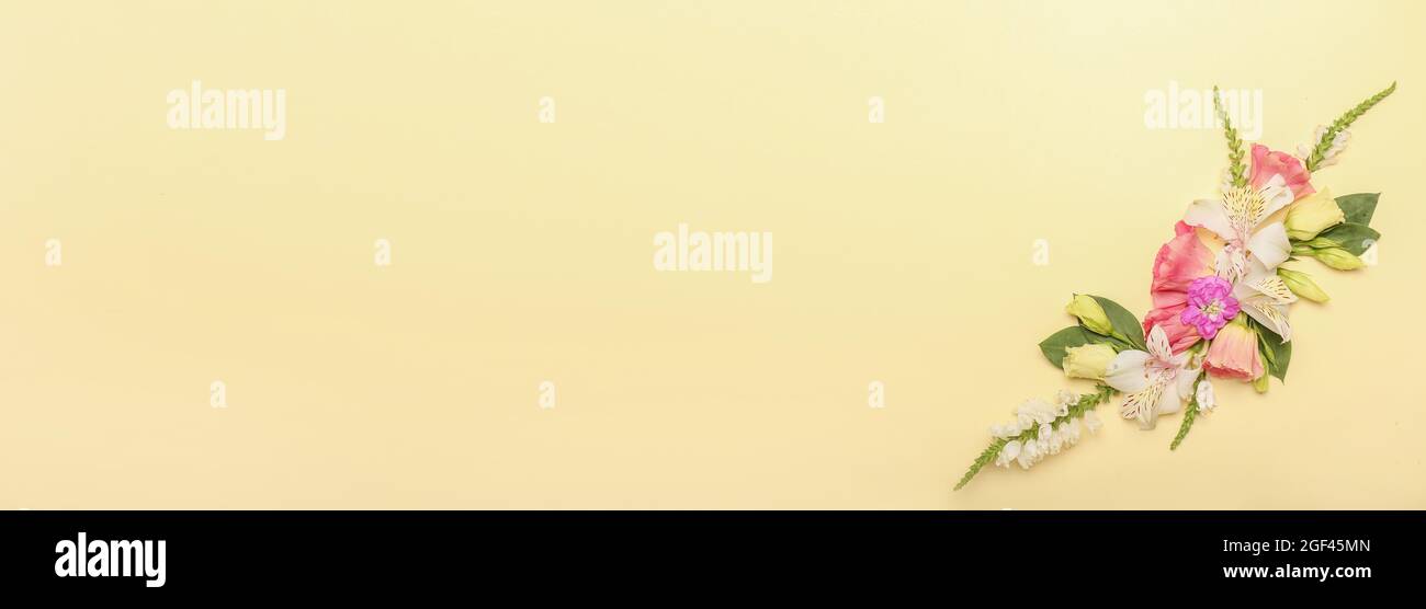 Beautiful flower composition on color background with space for text ...