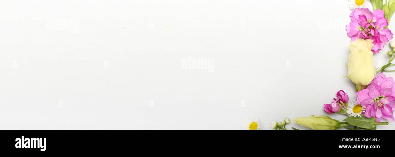 Beautiful flower composition on white background with space for text ...