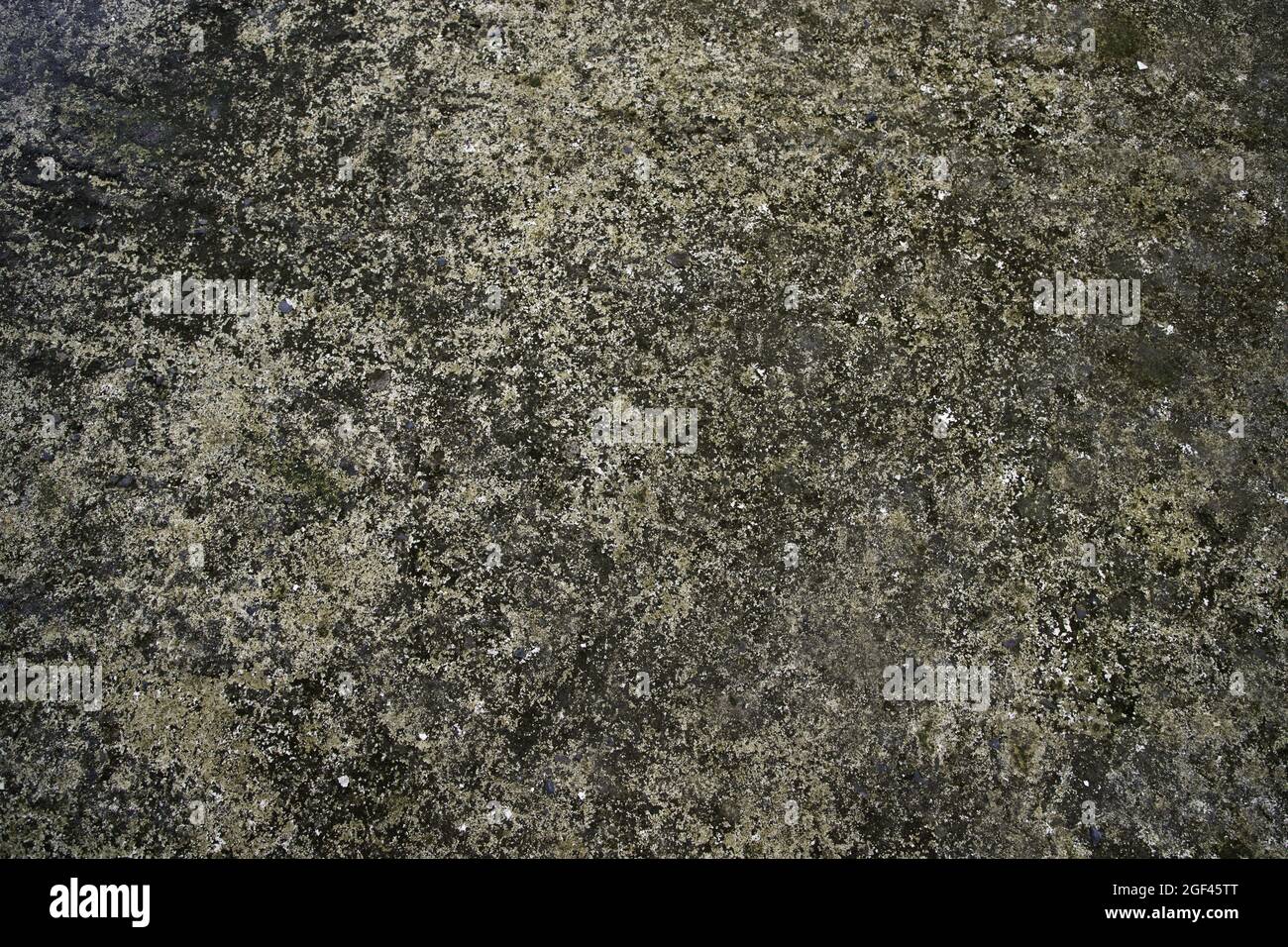 Overhead shot of a dark gray ground surface with spots of brown soil ...