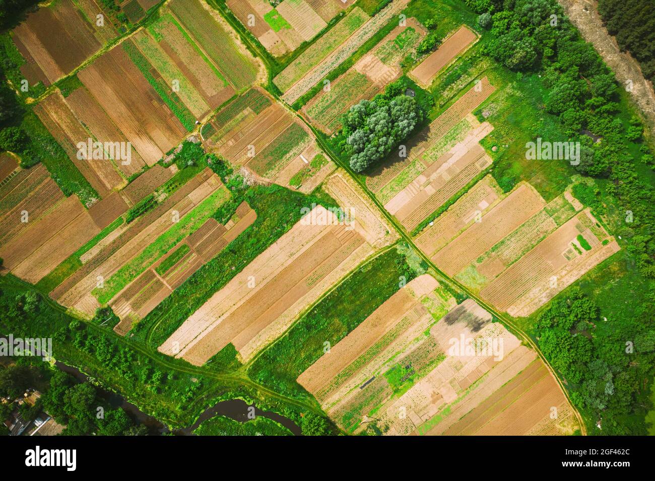 Vegetable garden aerial hi-res stock photography and images - Alamy