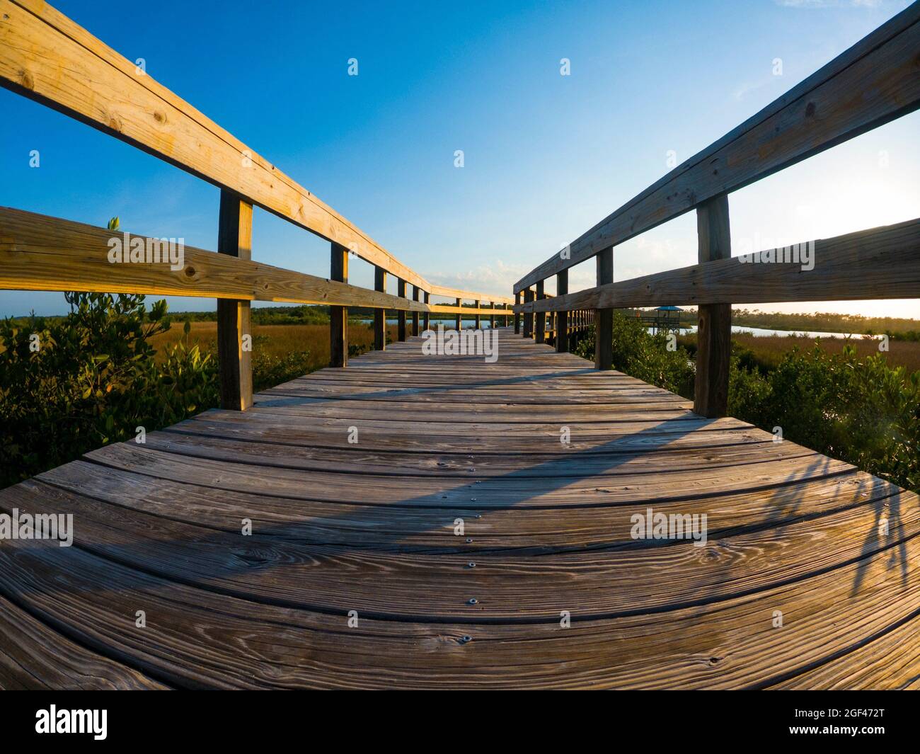 Sun park walkway hi-res stock photography and images - Alamy