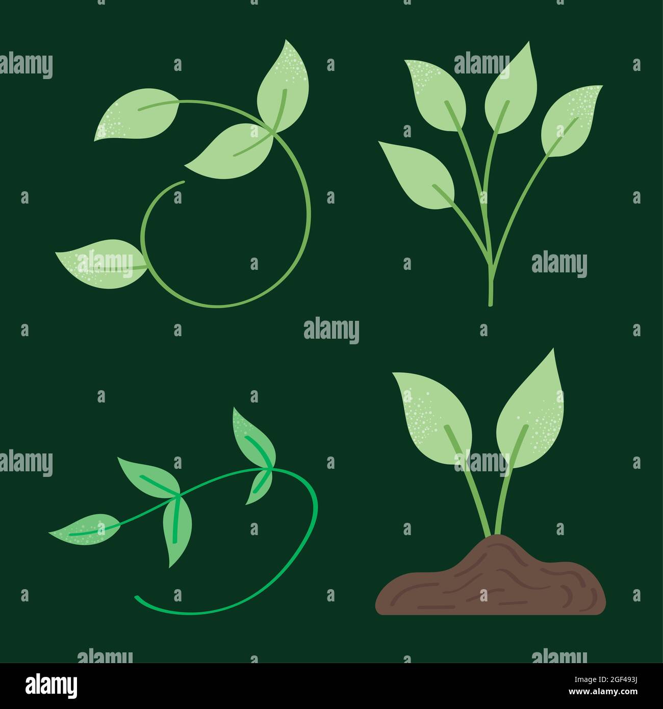 green plants icon set design Stock Vector Image & Art - Alamy