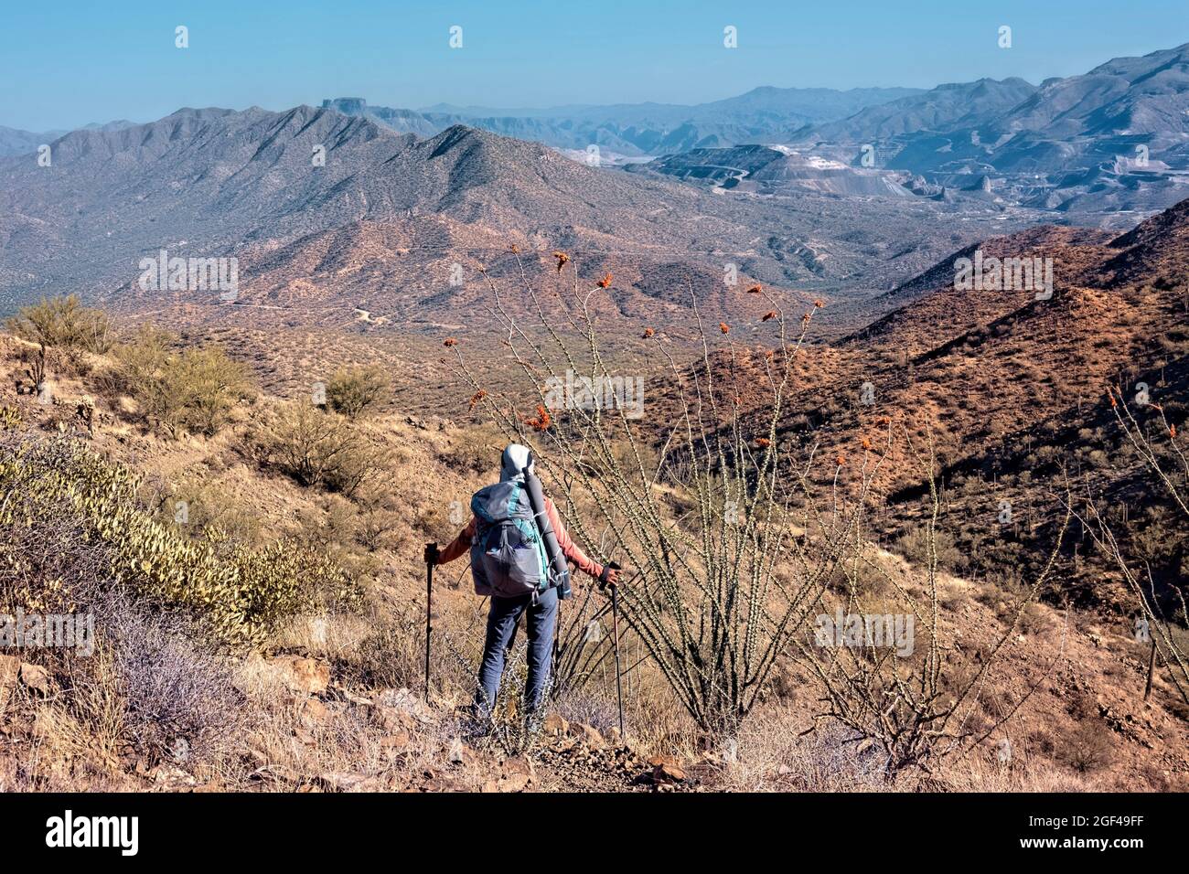 Arizona desert trail hi-res stock photography and images - Alamy