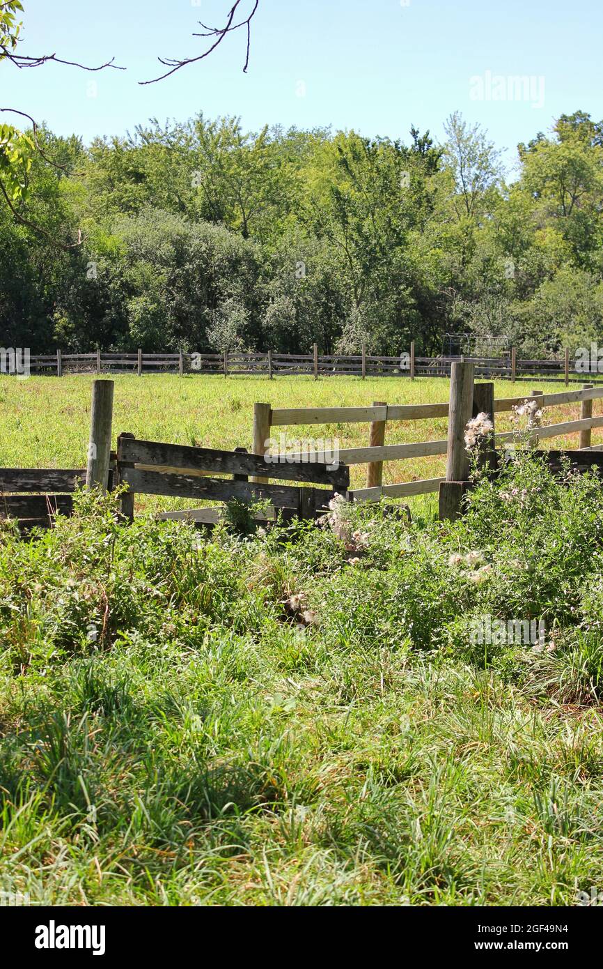Traditional wooden boundary fence crossing a farm field on a bright ...