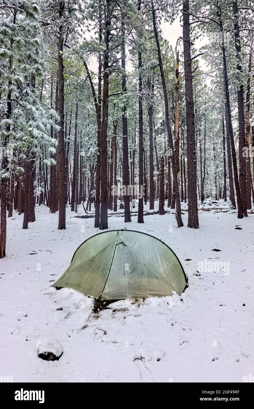 Mogollon rim snow hi-res stock photography and images - Alamy
