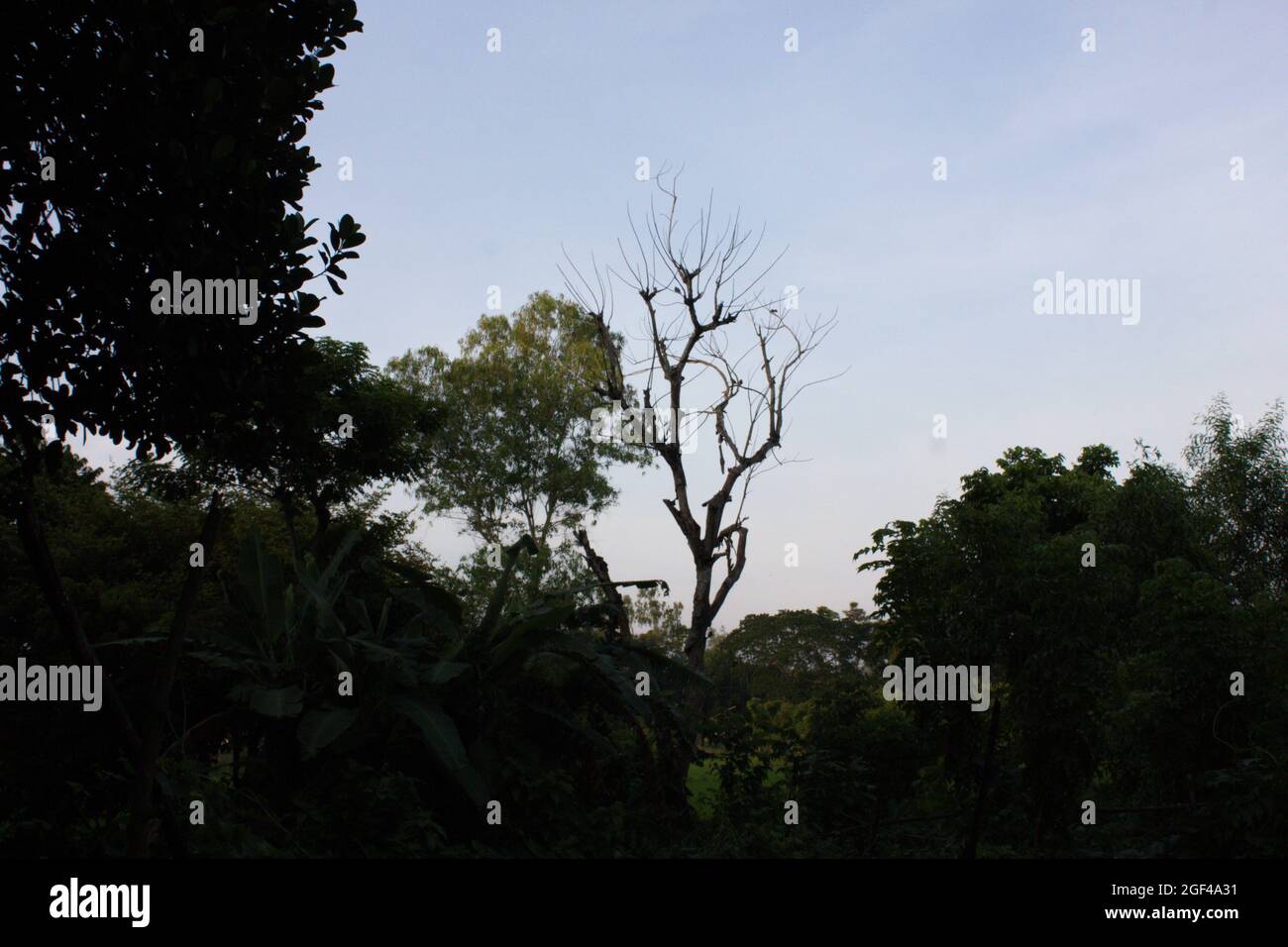 Photo weather hi-res stock photography and images - Alamy