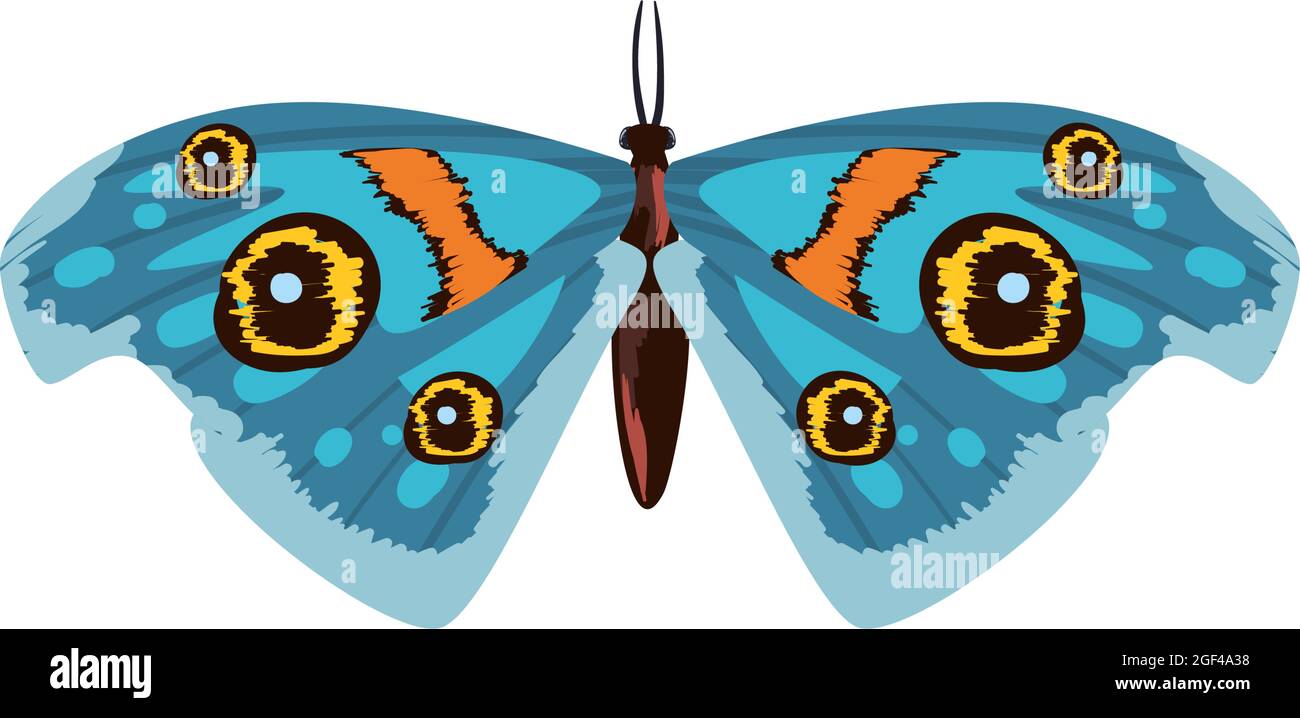 mystic butterfly esoteric isolated icon Stock Vector Image & Art - Alamy