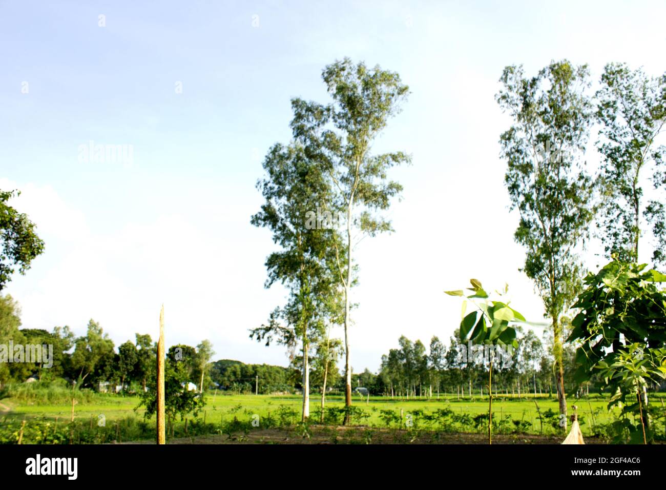How Beautiful Our World Stock Photo - Alamy