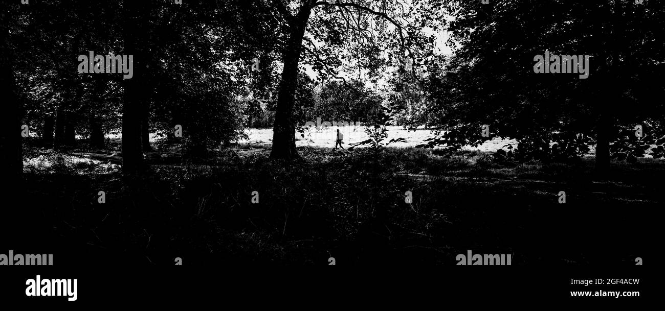Man walking park london Black and White Stock Photos & Images - Alamy