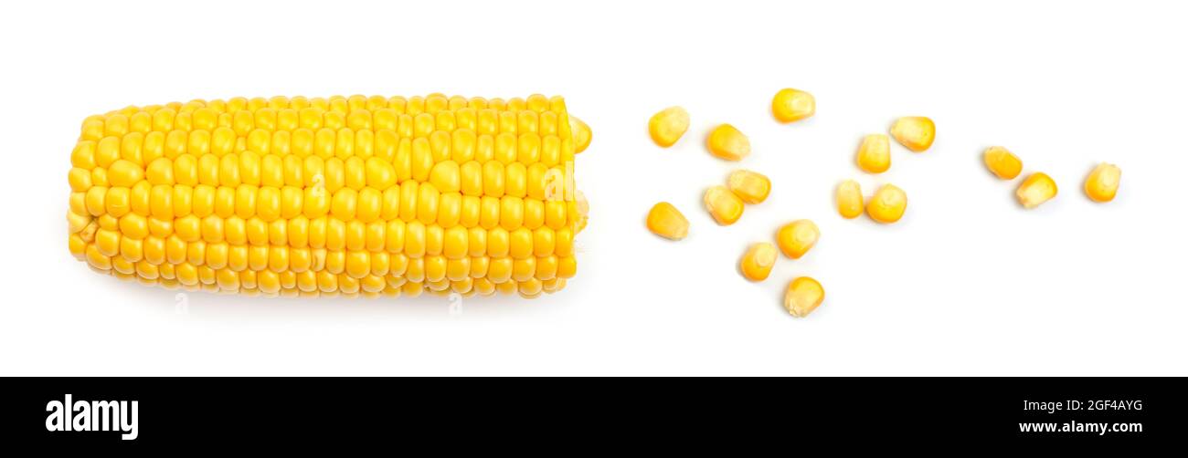 Fresh cut corn cob and seeds on white background Stock Photo - Alamy