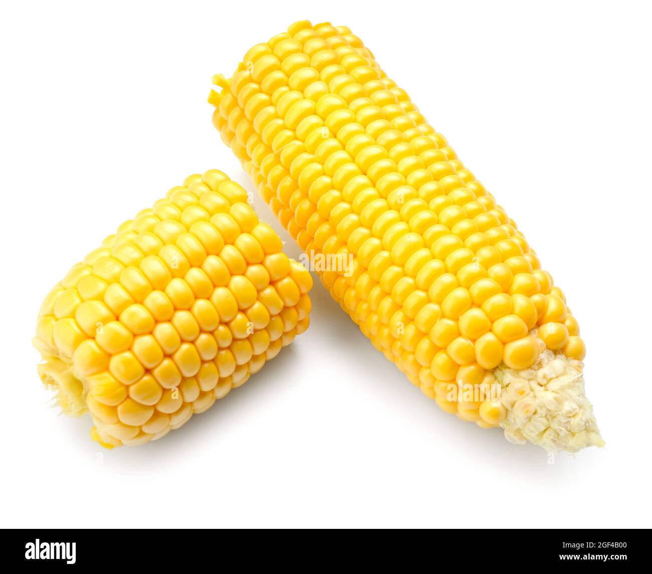 Fresh cut corn cobs on white background Stock Photo - Alamy