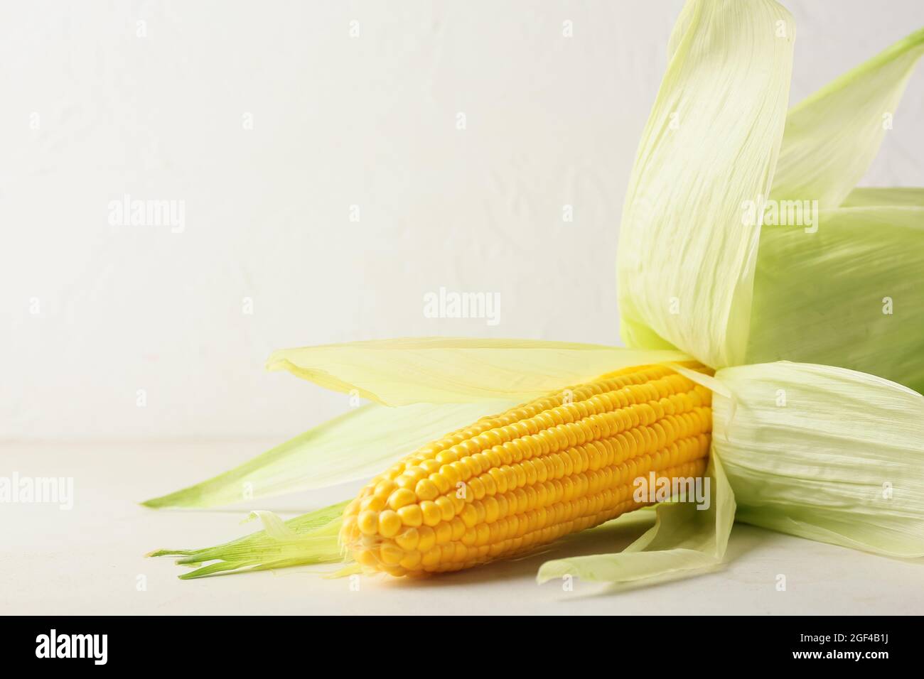 Fresh corn cob on light background Stock Photo - Alamy