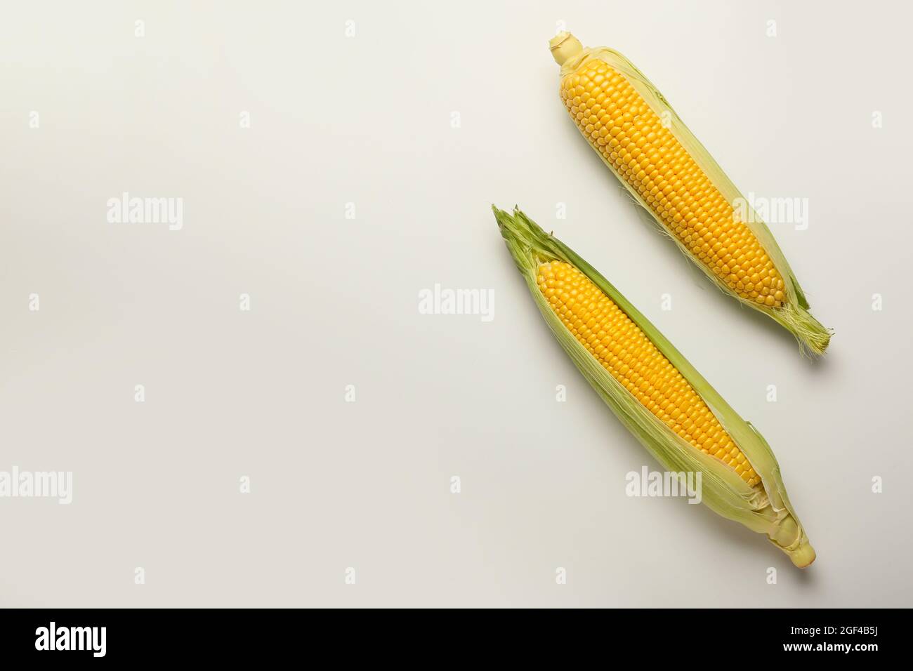 Fresh corn cobs on light background Stock Photo - Alamy