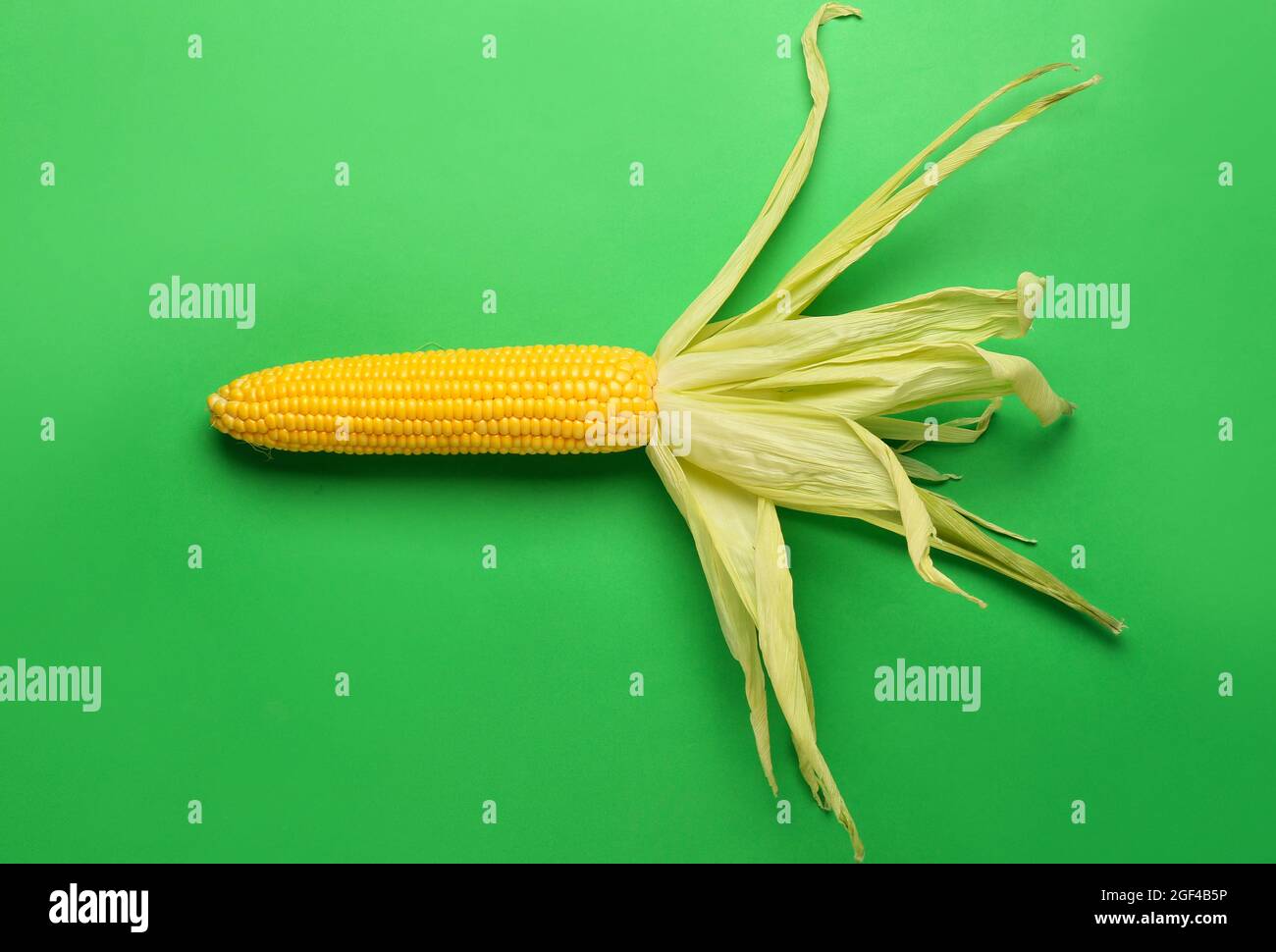 Fresh corn cob on color background Stock Photo - Alamy