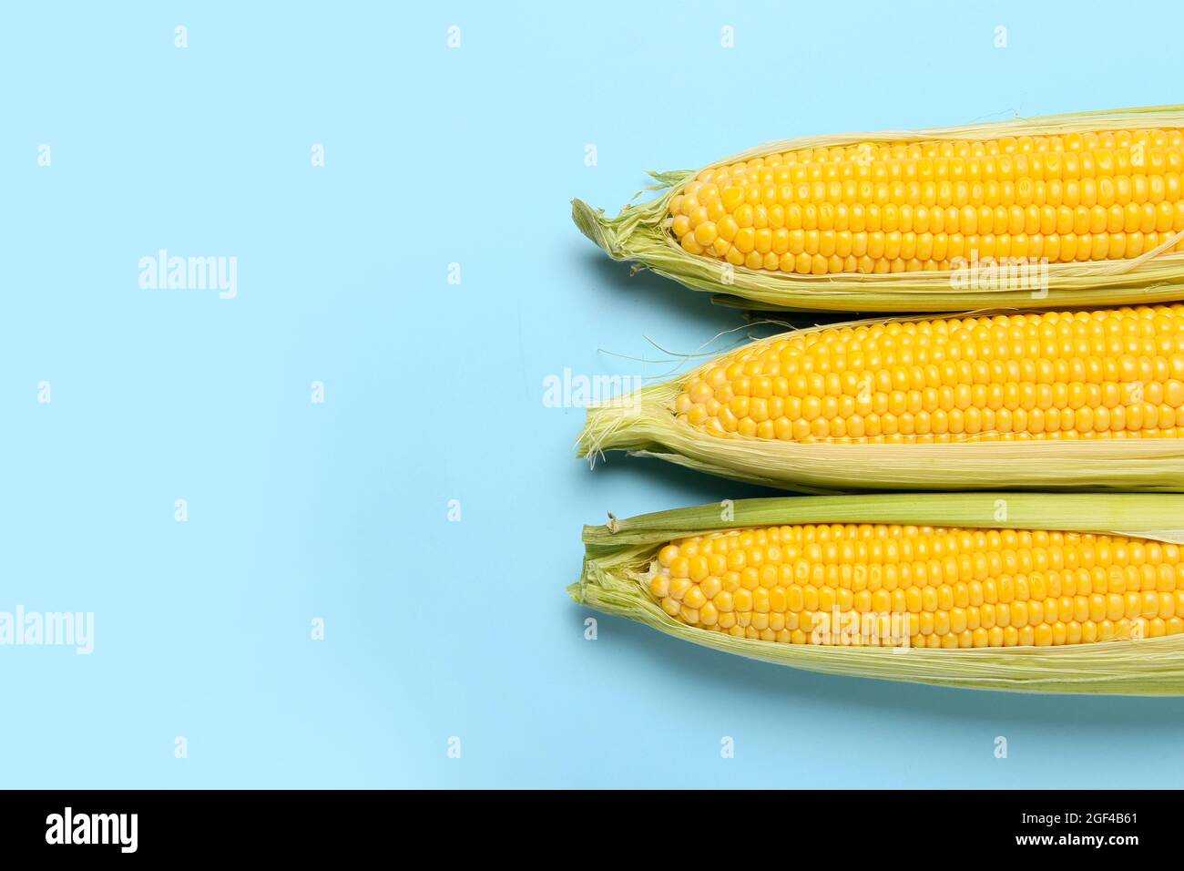 Fresh corn cobs on color background, closeup Stock Photo - Alamy