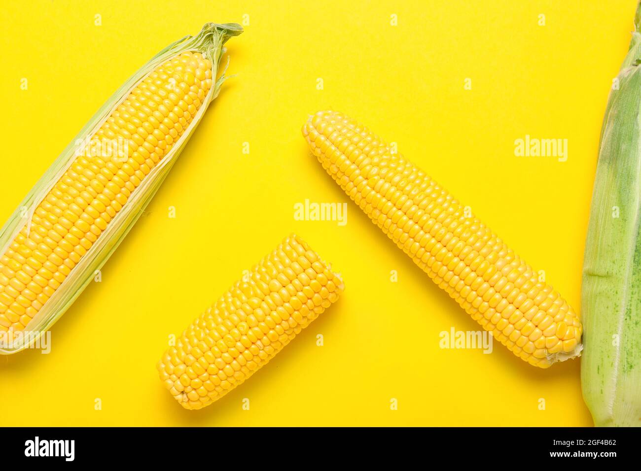 Fresh corn cobs on color background Stock Photo - Alamy